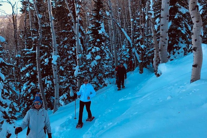Private Park City Snowshoe Excursions (9:30am/12:30pm Start Time) - Guides Expertise and Personalized Attention