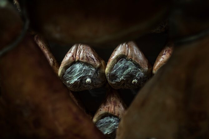 Private Parmigiano Balsamic Parma Ham and Wine Tasting Tour - Meet Your Guide: Michelle