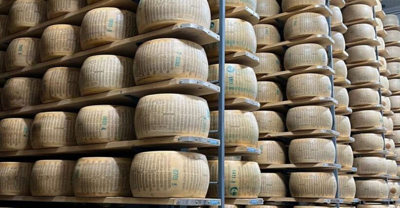 Private Parmigiano Reggiano, Prosciutto and Balsamico tour - Key Points