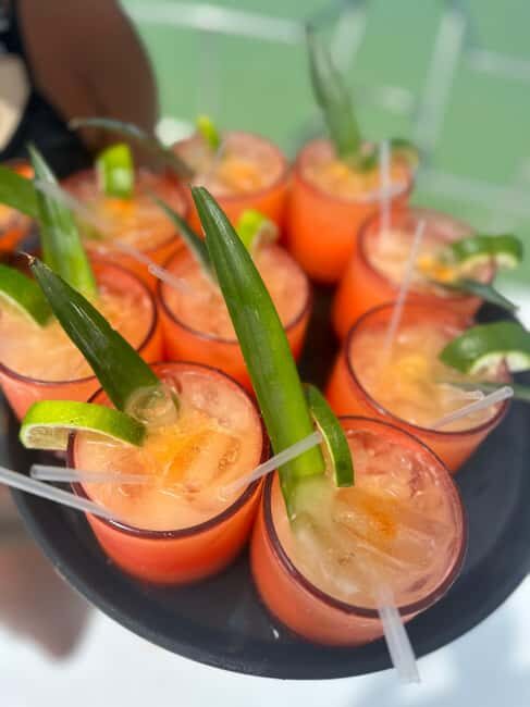 Private Party Boat Tour with Drinks and Snacks in Punta Cana - Key Points