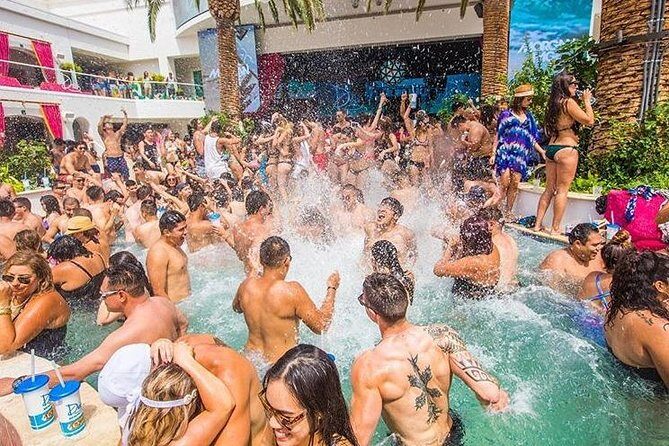 Private Party Bus Dayclub Crawl - An In-Depth Look at the Tour Experience