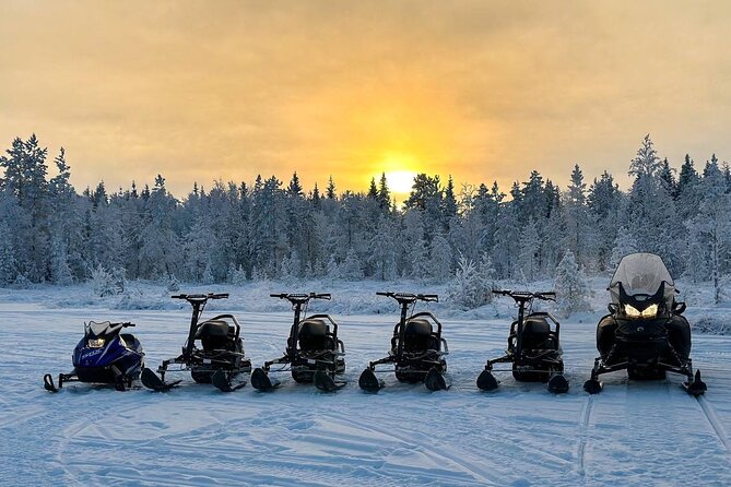 PRIVATE Party Dinner in a Glass Igloo Under Northern Lights - Dress for the Occasion