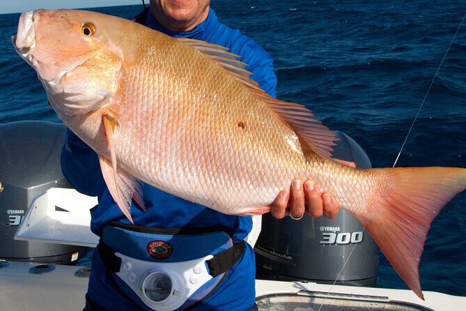 Private Patch Reef Fishing - FAQs