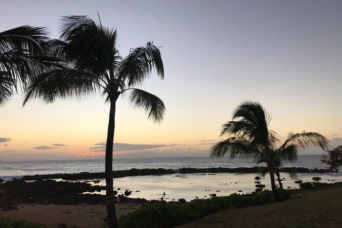 Private Pearl Harbor & North Shore tour (Se habla Español) - What Do Travelers Say?