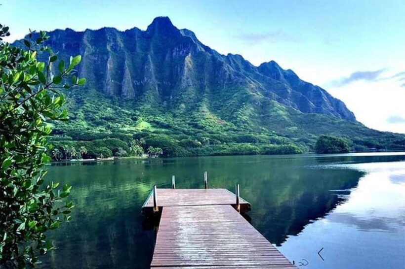 Private Pearl Harbor & Oahu Island Tour - Final Thoughts: Who Should Book This Tour?