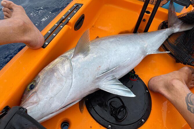 Private Pelagic Kayak Fishing Charter Lahaina - Authentic Feedback from Participants