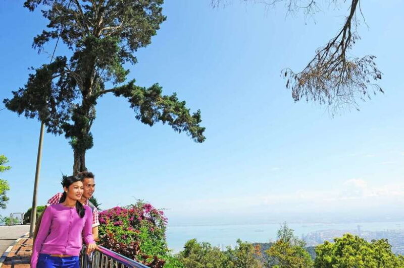 Private Penang City Tour with Kek Lok Si Temple - The Value and Its Implications