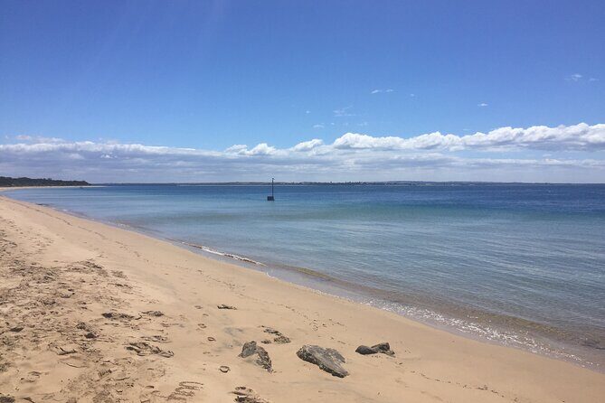Private Penguin Tour includes Tour Guide & Penguin Plus Tickets - Final Thoughts on the Experience