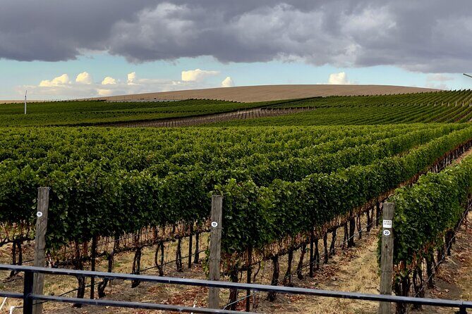 Private Personal Winery Tours in Walla Walla - Final Thoughts: A Genuine Wine Experience