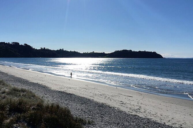 Private Personalised Tour in Waiheke Island - FAQs