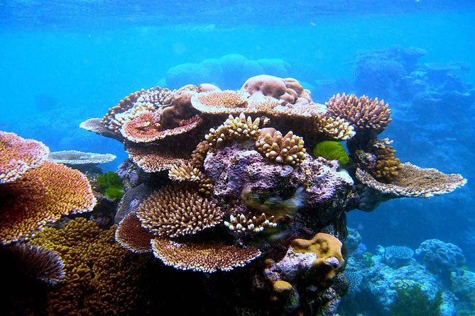 Private Phi Phi & 4 Islands Sunset Cruise by Speedboat - from Krabi - Who Will Enjoy This Tour?