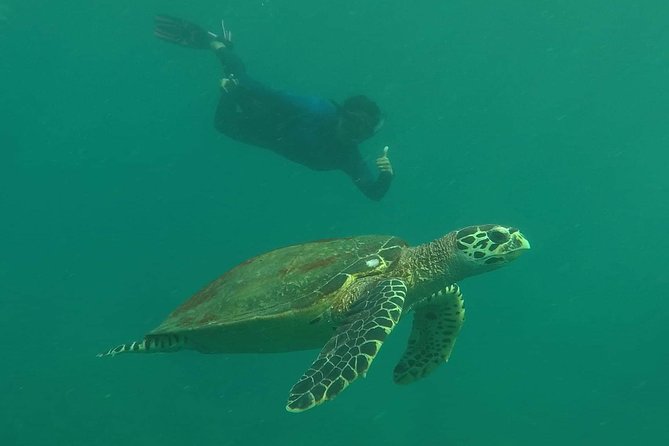 Private Phi Phi & 4 Islands Sunset Cruise by Speedboat - from Krabi - Final Recommendation