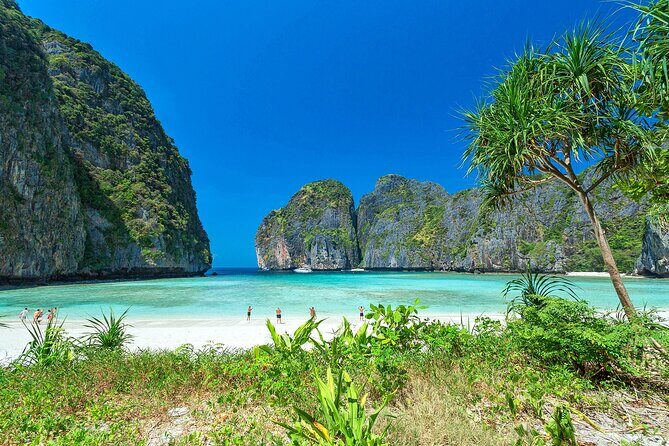 Private Phi Phi 5 Star Islands Full Day Tour - A Deep Dive into the Experience