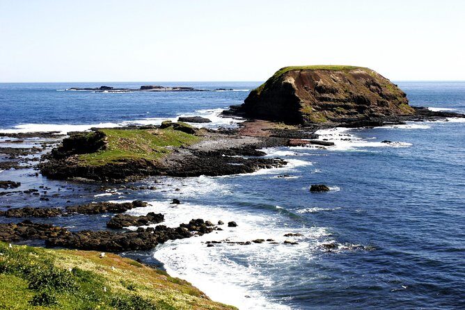 Private Phillip Island Penguin Parade Tour - Key Points
