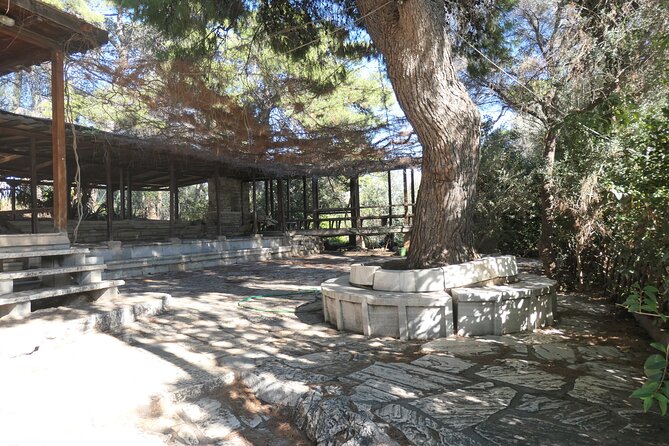 Private Philosophical Tour in Athens - Positive Traveler Feedback