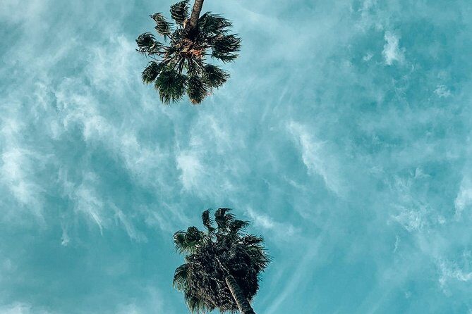 Private Photo Tour in Los Angeles - Best Instagram Places in LA - Key Points