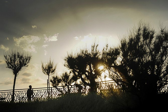 Private Photographic Walk in Biarritz - Authentic Reviews from Past Participants