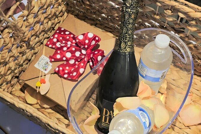 Private Picnic Experience in Condado Lagoon with Snacks Included - An Overview of the Experience