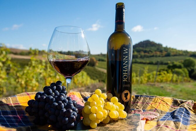 Private PICNIC in Bohemian Vineyards and Wine Tasting 4WD Tour - An Authentic Look at Czech Vineyards and Countryside