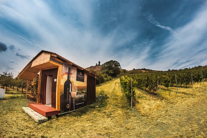 Private PICNIC in Bohemian Vineyards and Wine Tasting 4WD Tour - The Practicalities: What to Expect