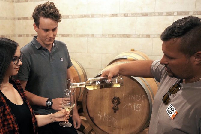 Private PICNIC in Bohemian Vineyards and Wine Tasting 4WD Tour - Reviews and Real Traveler Perspectives