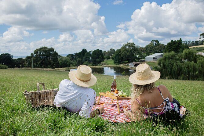 Private Picnic Lunch Experience in Orange with Wine - A Detailed Look at the Private Picnic Lunch Experience in Orange with Wine