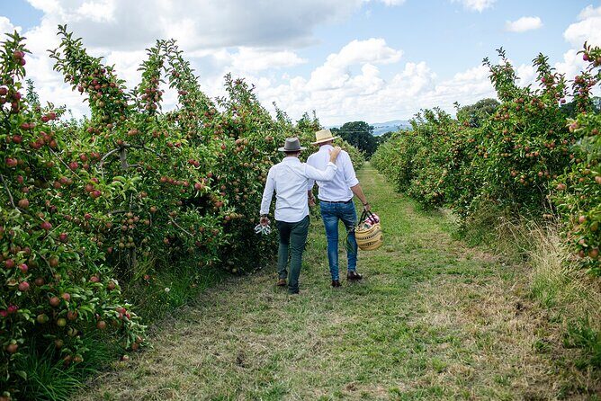 Private Picnic Lunch Experience in Orange with Wine - FAQ