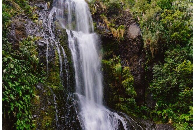 Private Piha Beach, Rainforest Adventure & Mt. Eden with Guide - Exploring the Itinerary: What You Can Expect