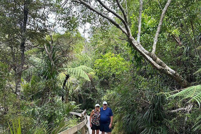 Private Piha Beach, Rainforest Adventure & Mt. Eden with Guide - Who Will Love This Tour?