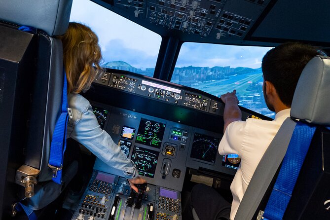 Private Pilotage of a Flight Simulator in Paris - Pilot Diploma Included