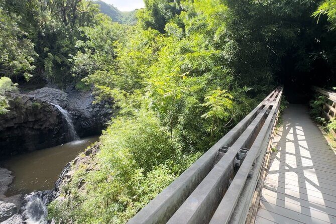Private Pipiwai Trail Maui Open-Air Jeep Tour - Who Should Consider This Tour?