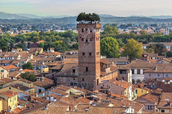 Private Pisa and Lucca Half Day Tour With Leaning Tower Tickets - Independent Exploration Time