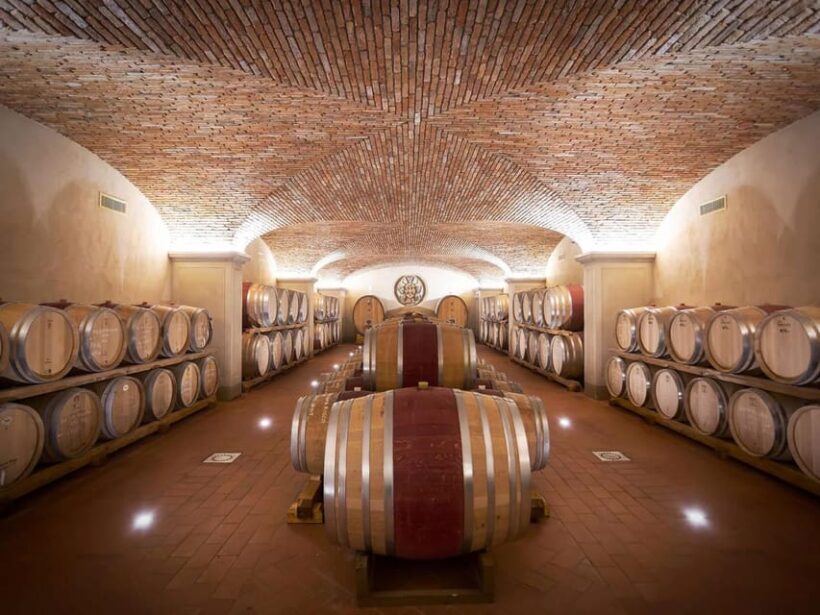 Private Pisa & Lucca Tour from Florence - A Unique Wine Experience in Montecarlo
