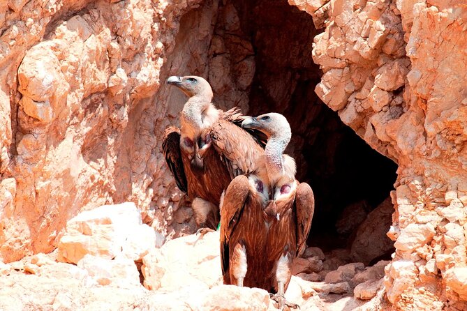 Private Plavnik Island Half-Day Boat Trip With Capt. Bobo - A Personalized and Relaxing Experience