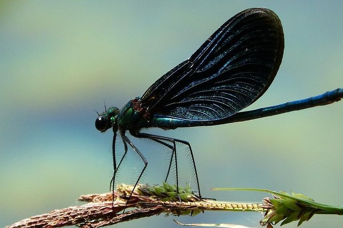 Private Plitvice Lakes - a Day In Magicland From Split - Guided Exploration of Scenic Trails