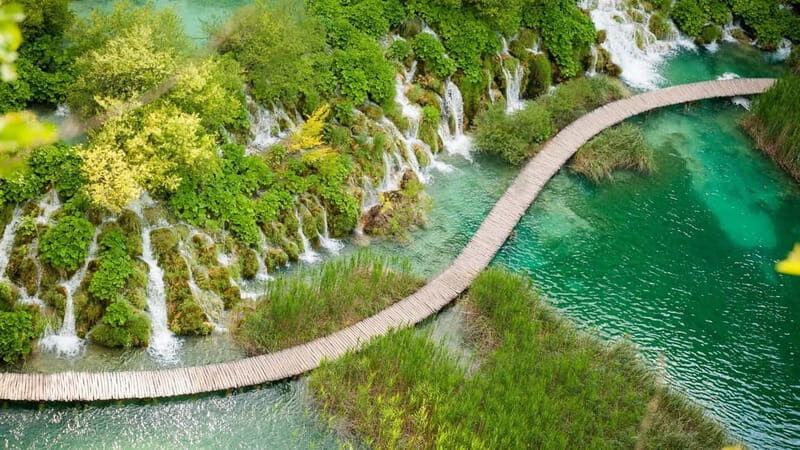 Private Plitvice Lakes and Zadar Tour with Lunch from Split - An In-Depth Look at the Tour Experience