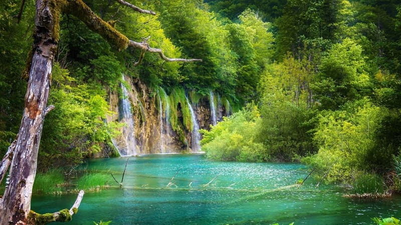 Private Plitvice Lakes and Zadar Tour with Lunch from Split - Final Thoughts