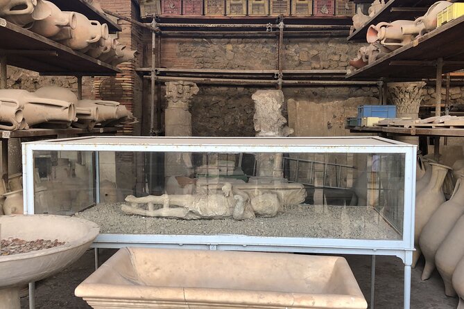 Private Pompeii and Herculaneum Day Tour With Pick up - Additional Information