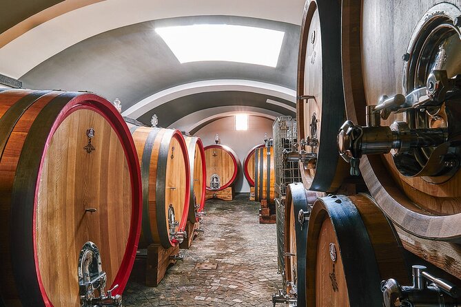 Private Pompeii, Herculaneum and Winery Tour from Naples - What to Expect from the Experience