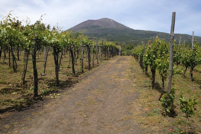 Private Pompeii, Herculaneum and Winery Tour from Naples - Value and Practicality
