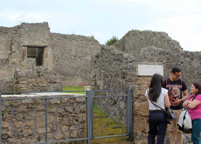 Private Pompeii & Herculaneum Tour with Guide & Driver - Exploring the Ancient Roman World in Style and Comfort