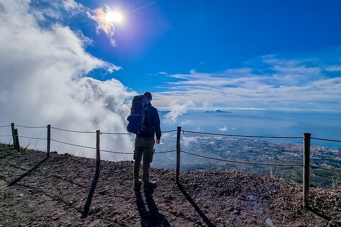Private Pompeii, Herculaneum & Vesuvius Adventure: Wine & Lunch. - Who Will Love This Tour?