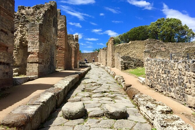 Private Pompeii Tour From Sorrento with Pick Up and Drop Off - Frequently Asked Questions
