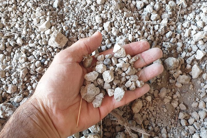 Private Pompeii Tour With Archaeologist & Wines on Mt Vesuvius - Traveler Tips and Essential Tour Information