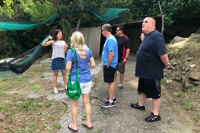 Private Pompeii Tour With Lunch and Olive Oil Factory Experience - Exploring the UNESCO-Listed Pompeii