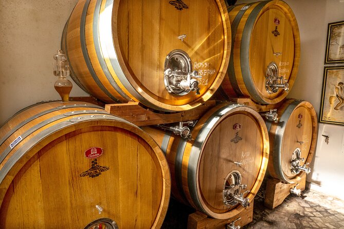 Private Pompeii Tour with Wine Tasting Experience - What Makes This Tour Stand Out?