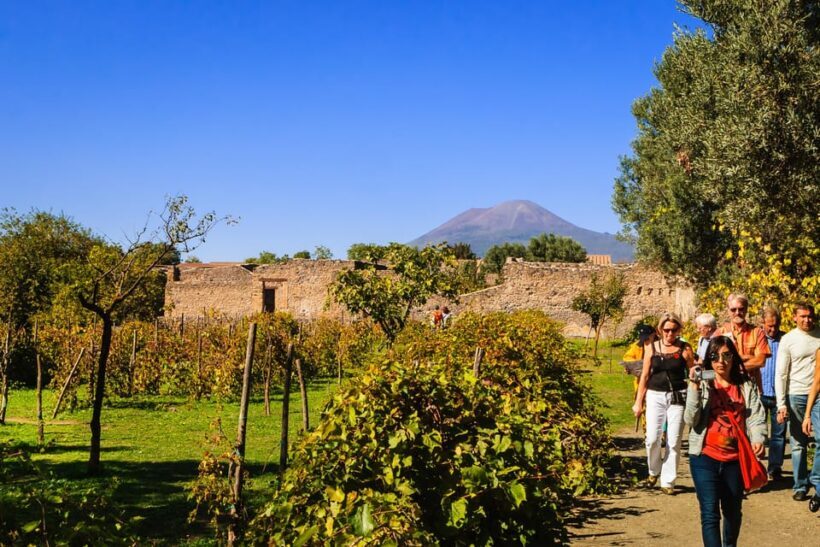 Private Pompeii & Vesuvius Wine Tasting Tour - Practical Tips for Travelers