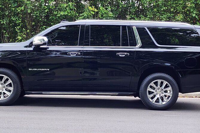 Private Port Canaveral Transfer to and from Orlando Intl Airport - The Ride: What to Expect
