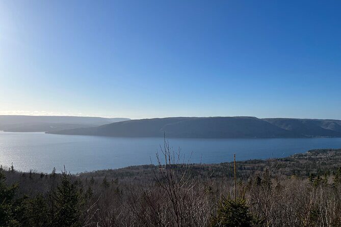 Private Port of Sydney-Cape Breton Highlands ATV Excursion - What This Tour Offers: A Deep Dive