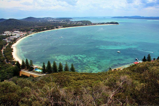 Private Port Stephens Day Trip from Sydney incl Dolphin Cruise - In-Depth Look at the Itinerary